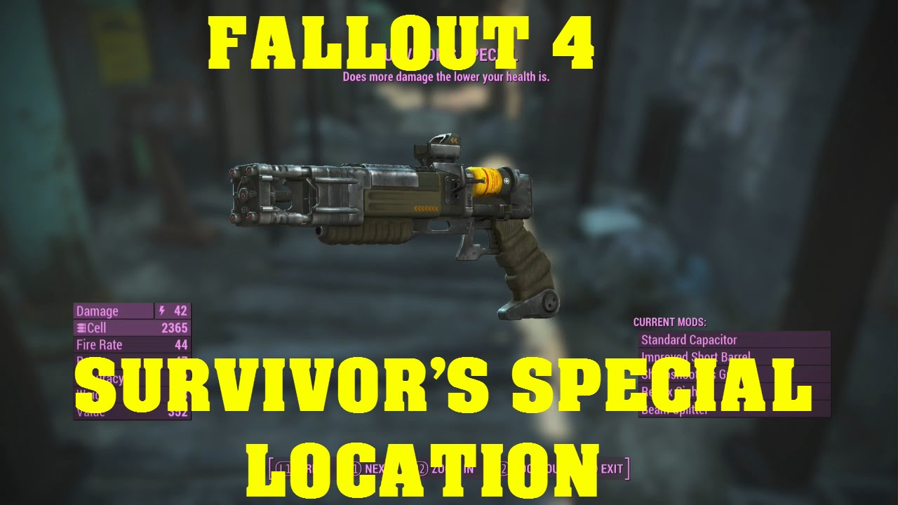 FALLOUT 4 Unique Weapon Guide - Survivor's Special - YouTube
