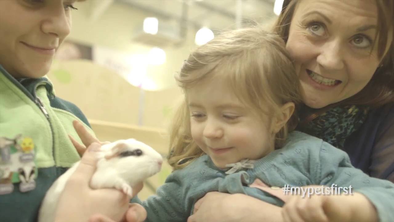 My Pet's First - YouTube