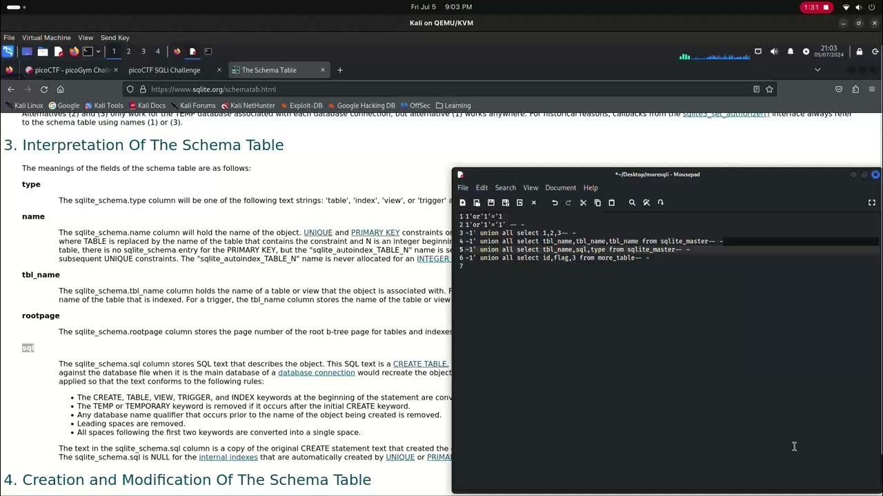 PicoCTF: More SQLi - YouTube