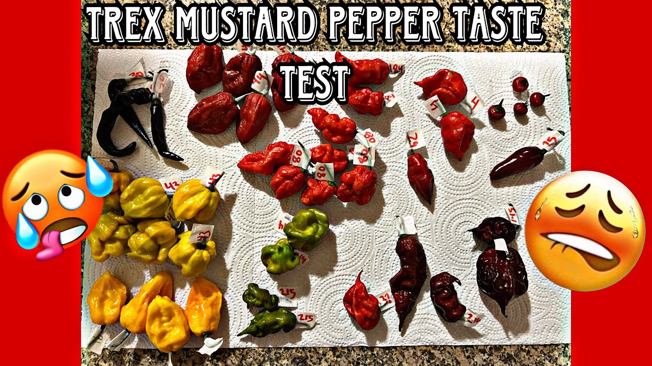 Trex Mustard Hot Pepper | Taste Test @ironivlife - YouTube