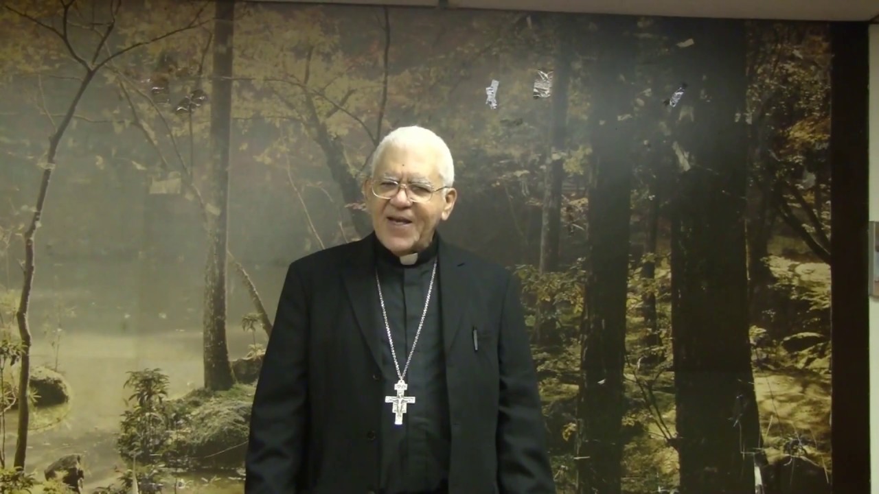 Lesson 2 - Lay Ministers by Msgr. Guy Sansaricq -2014 - YouTube