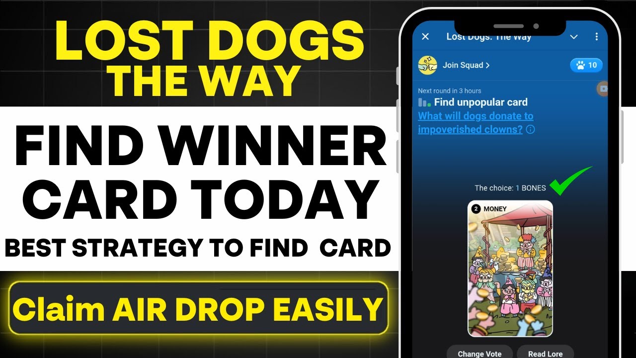 Lost Dogs The Way | How To Find Winner Card | Lost Dogs Notcoin Game ...