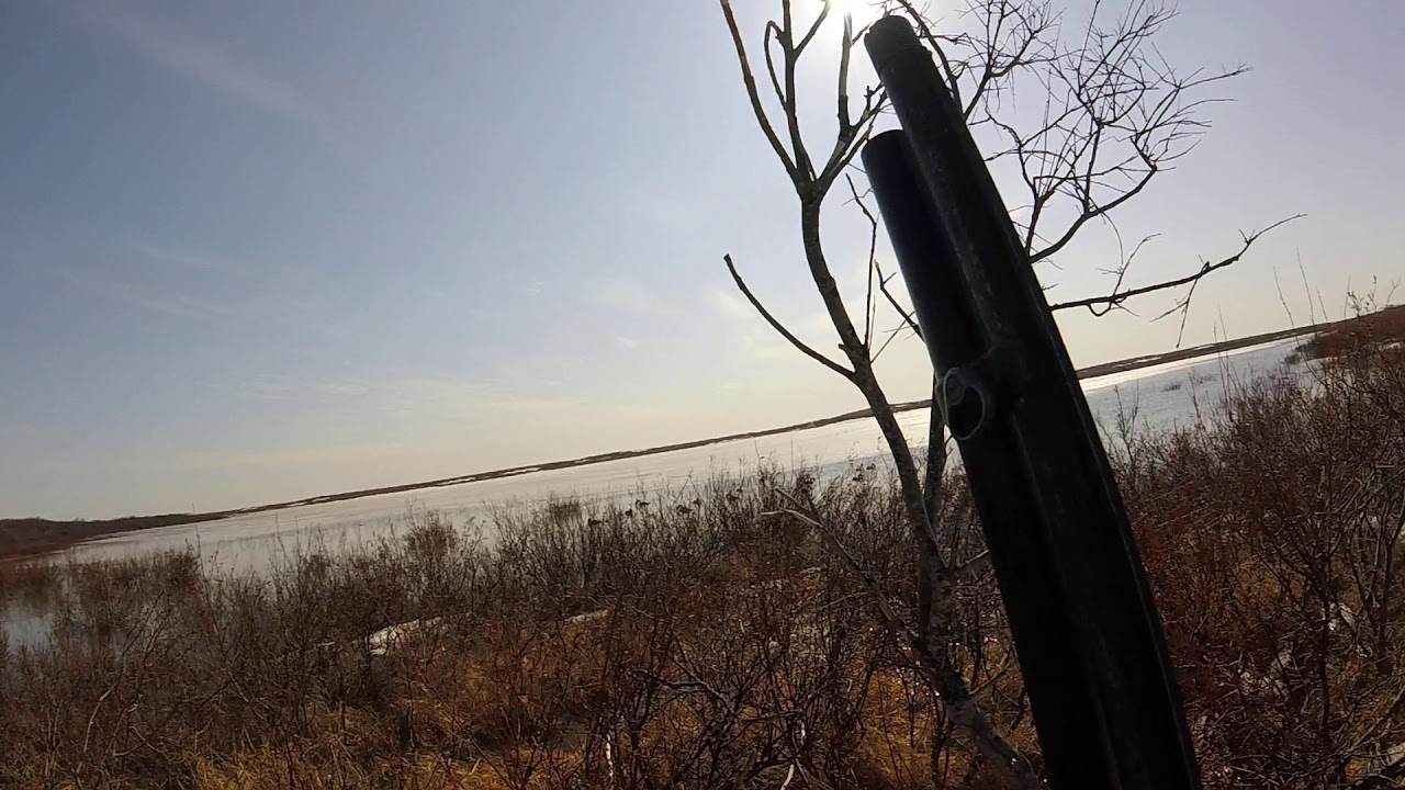 2020 Bird Hunting Alaska(uncut video) - YouTube
