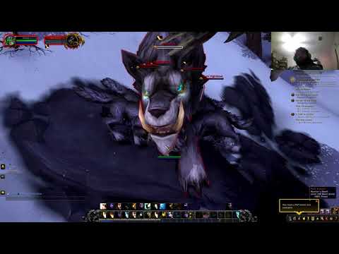 How to obtain Garn Nighthowl in wow - YouTube