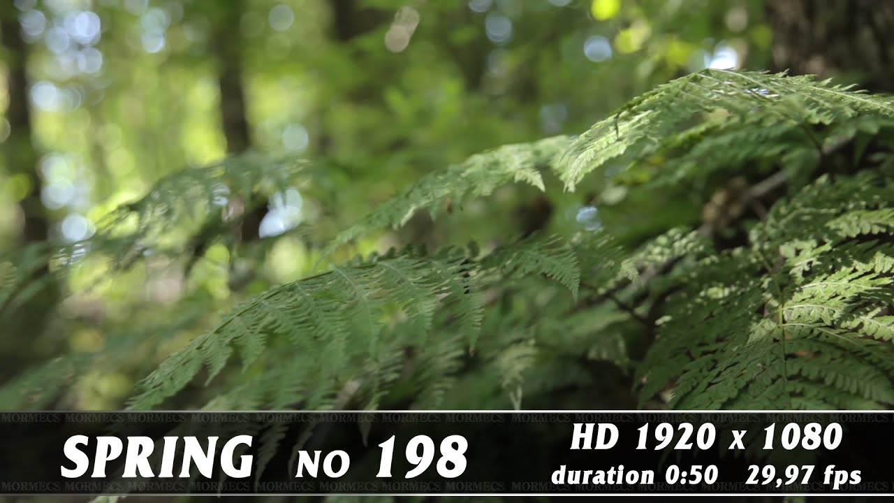 Spring no.198 HD in 1920x1080 (29,97 fps) - YouTube