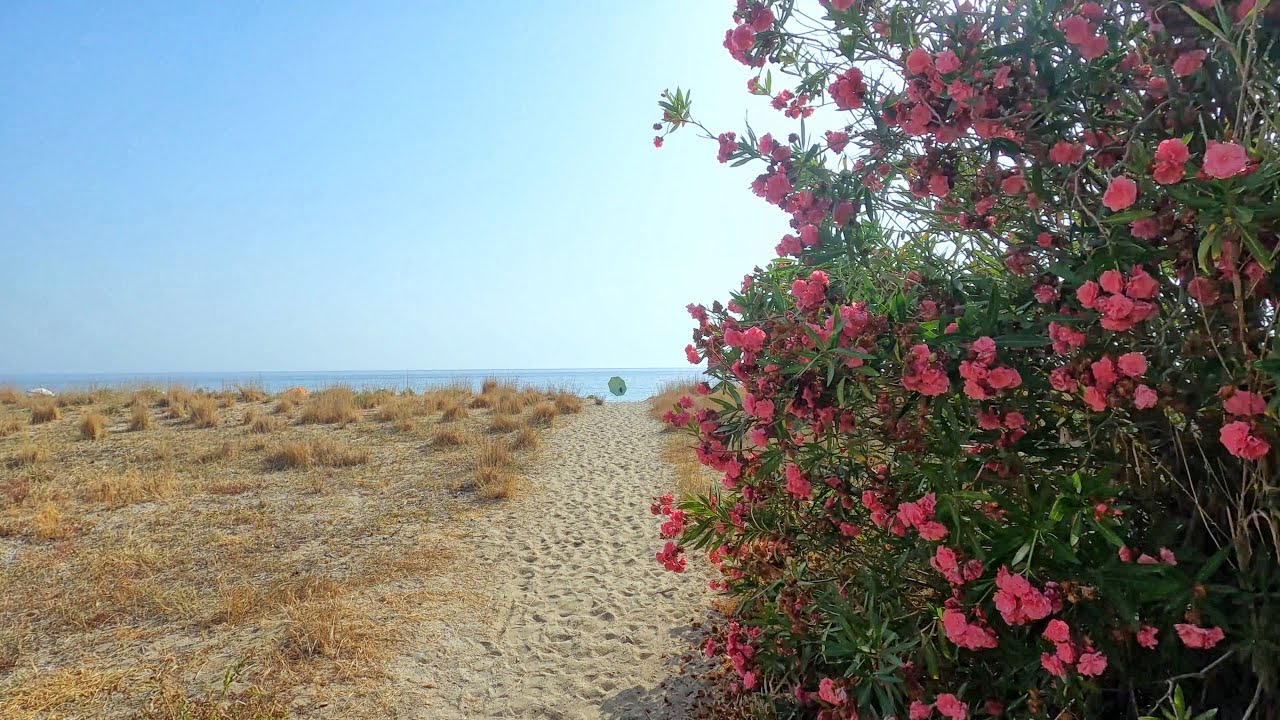 Summer walk in Marina di Ascea, Italy - YouTube