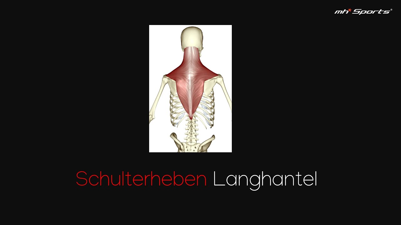 Schulterheben, Nackenziehen richtig ausführen. Trapezmuskel trainieren ...