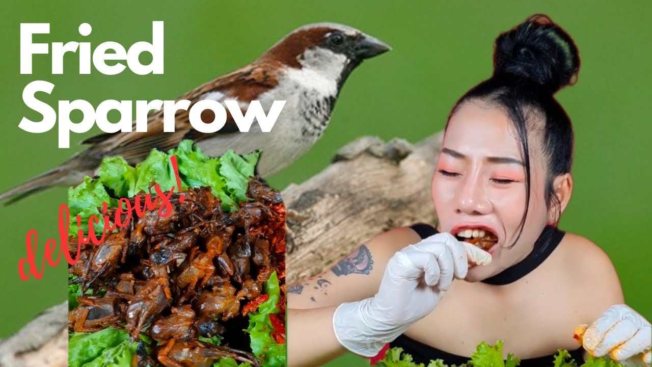 fried SPARROW! delicious! |Jin Su| #mukbang - YouTube