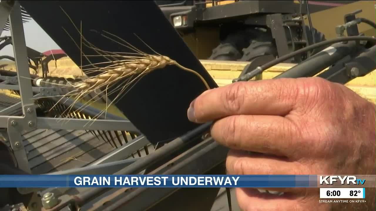 Grain harvest going well in Morton and Burleigh County; crop level ...