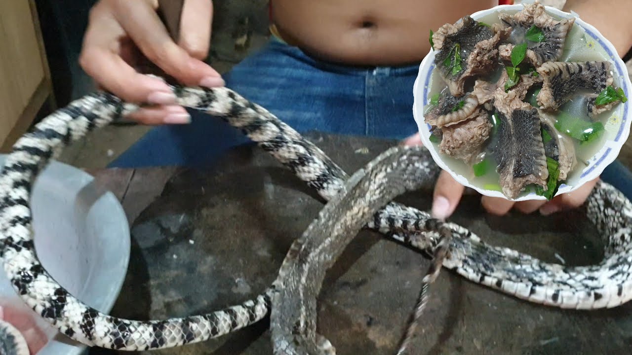 Make Traditional Snake Soup For Food In Countryside - YouTube