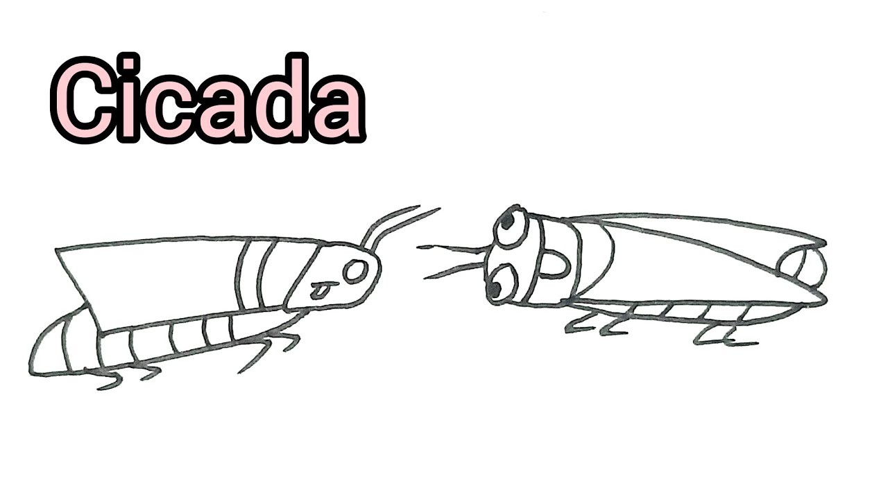 How To Draw A Simple Cicada || Very Easy For Kids || Drawing Step by ...