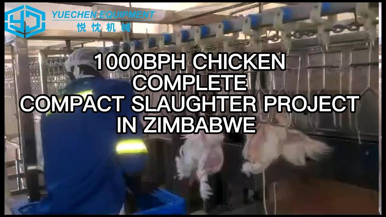 Automatic complete chicken compact slaughter machine in Zimbabwe - YouTube