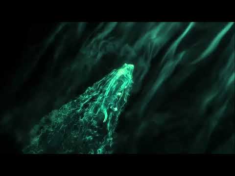 5 June 2023pls subscnbe 🕊️my Friend's