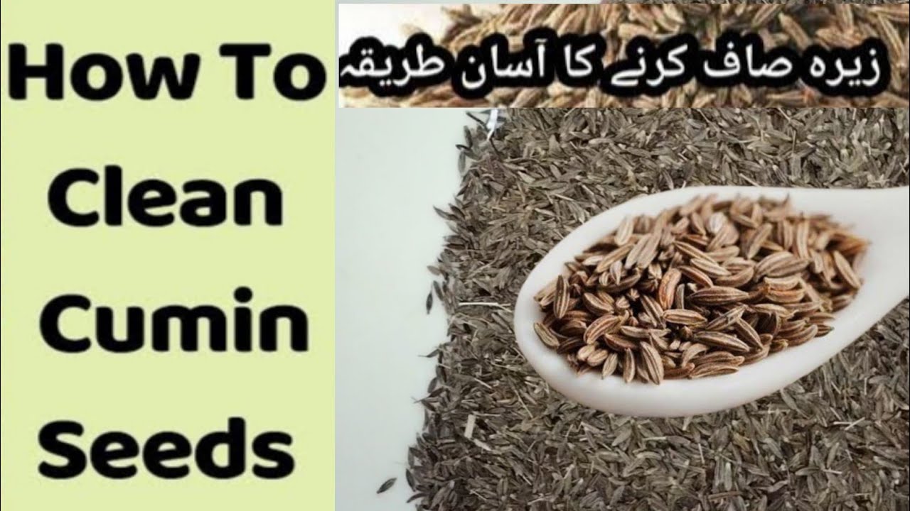 how to clean cumin seeds | زیرہ صاف کرنے کا آسان طریقہ - YouTube