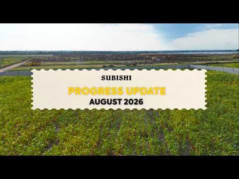 Subishi Breeze | August 2026 | Progress Update | Subishi