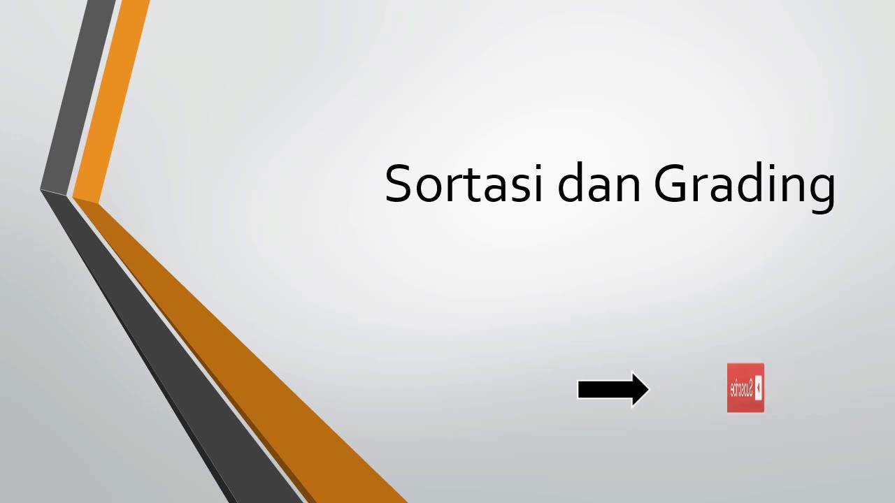 Sortasi dan Grading - YouTube