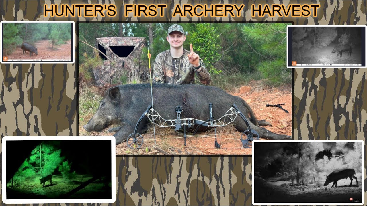Hunter's First Bow Harvest - SC Hog Hunting - YouTube