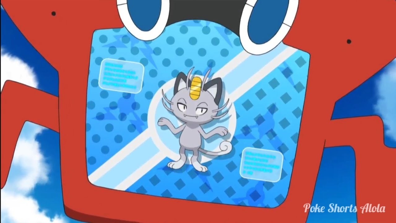 Meowth (Alola Form) Rotam-Dex Data - YouTube