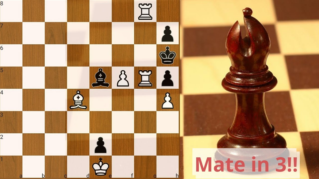 One of the most beautiful Checkmate in 3 Puzzle | Chess Compositions ...