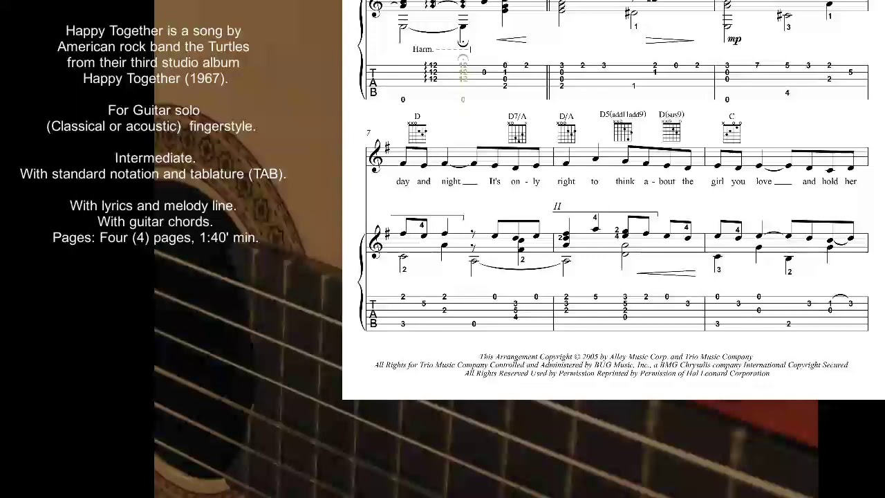 Happy Together Guitar Chords