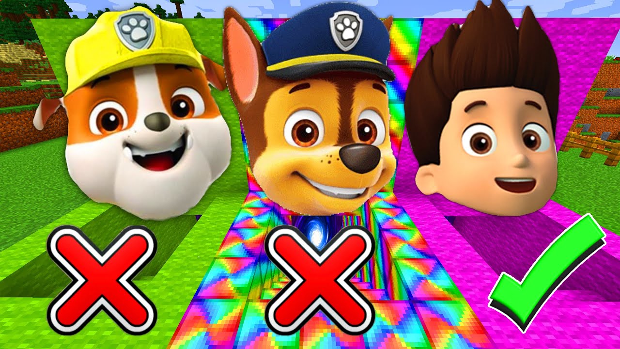 CHOOSE THE RIGHT SECRET TUNNEL OF PAW PATROL CHASE RYDER and MARSHALL ...