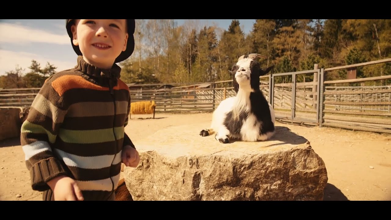Прогулка в Таллиннском зоопарке || Tallinna Loomaaed || Tallinn ZOO ...