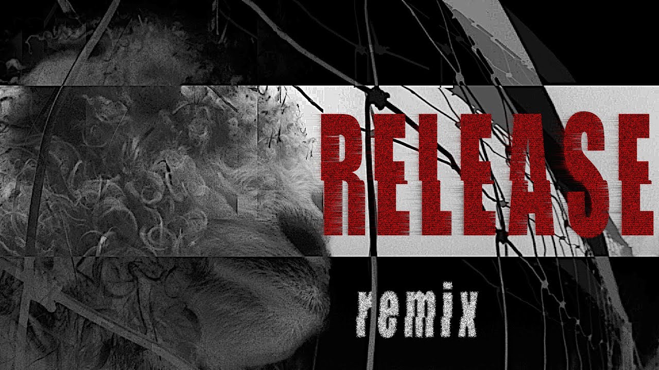 Pearl Jam - Release (Remix) - YouTube