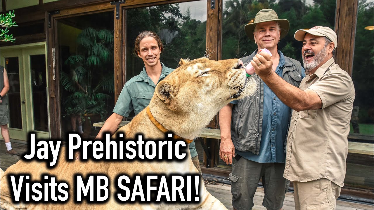 Jay Prehistoric Pets Visits Myrtle Beach Safari! - YouTube