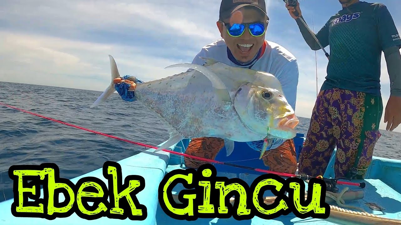 EBEK GINCU MERAH | Micro Jigging Ebek di Bintulu | Teknik Jigging Ebek ...