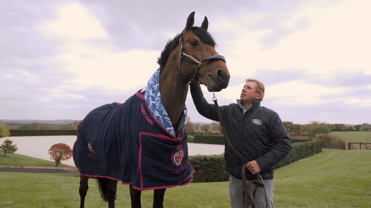 Mark Beever, Nick's groom, pays tribute to Nick Skelton and Big Star ...