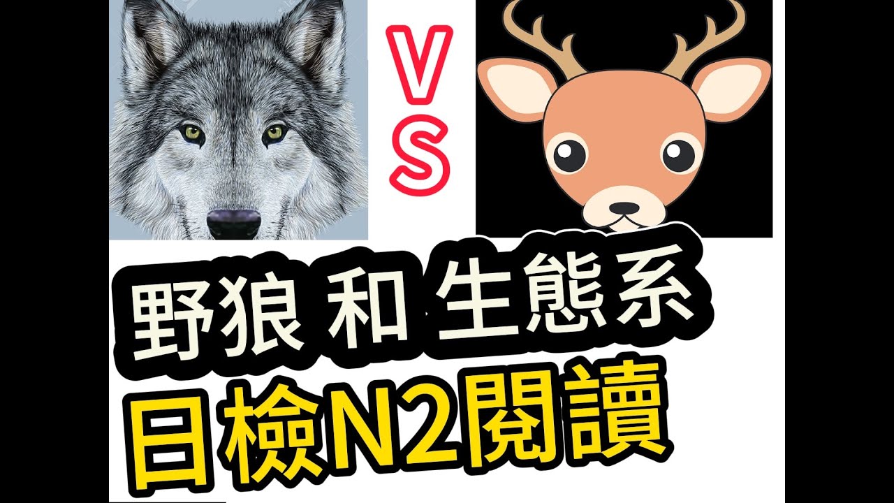 TRY-N2 // 第七課(26)..本文: 野狼和生態系(2)...P111P 下面 (專攻N2參考書).... - YouTube