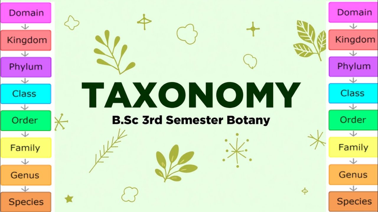 Taxonomy B.Sc 3rd Semester Botany By @UmeshBiology - YouTube
