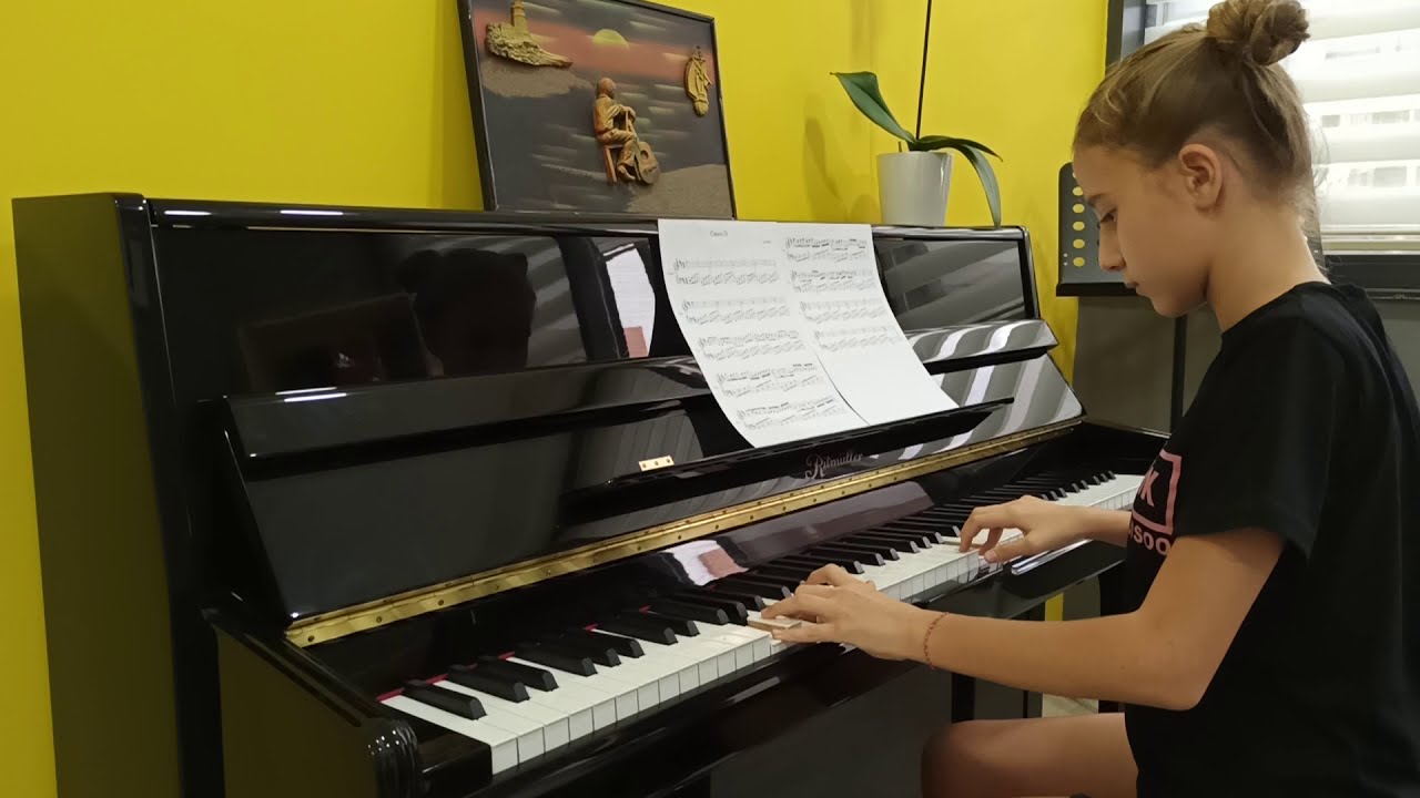 Johann Pachelbel - Canon in D #canonind #relaxingmusic #piano - YouTube