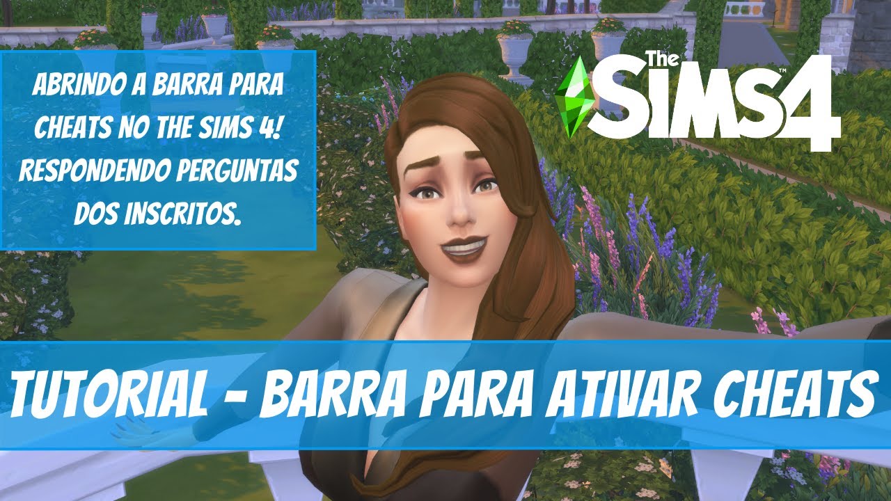 BARRA PARA ATIVAR CHEATS: Abrindo a barra para ativar cheats no PC. The ...