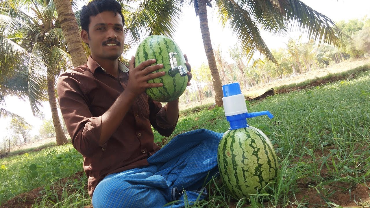 Watermelon Juice | Watermelon dispenser |Prepared at my Village | Home ...