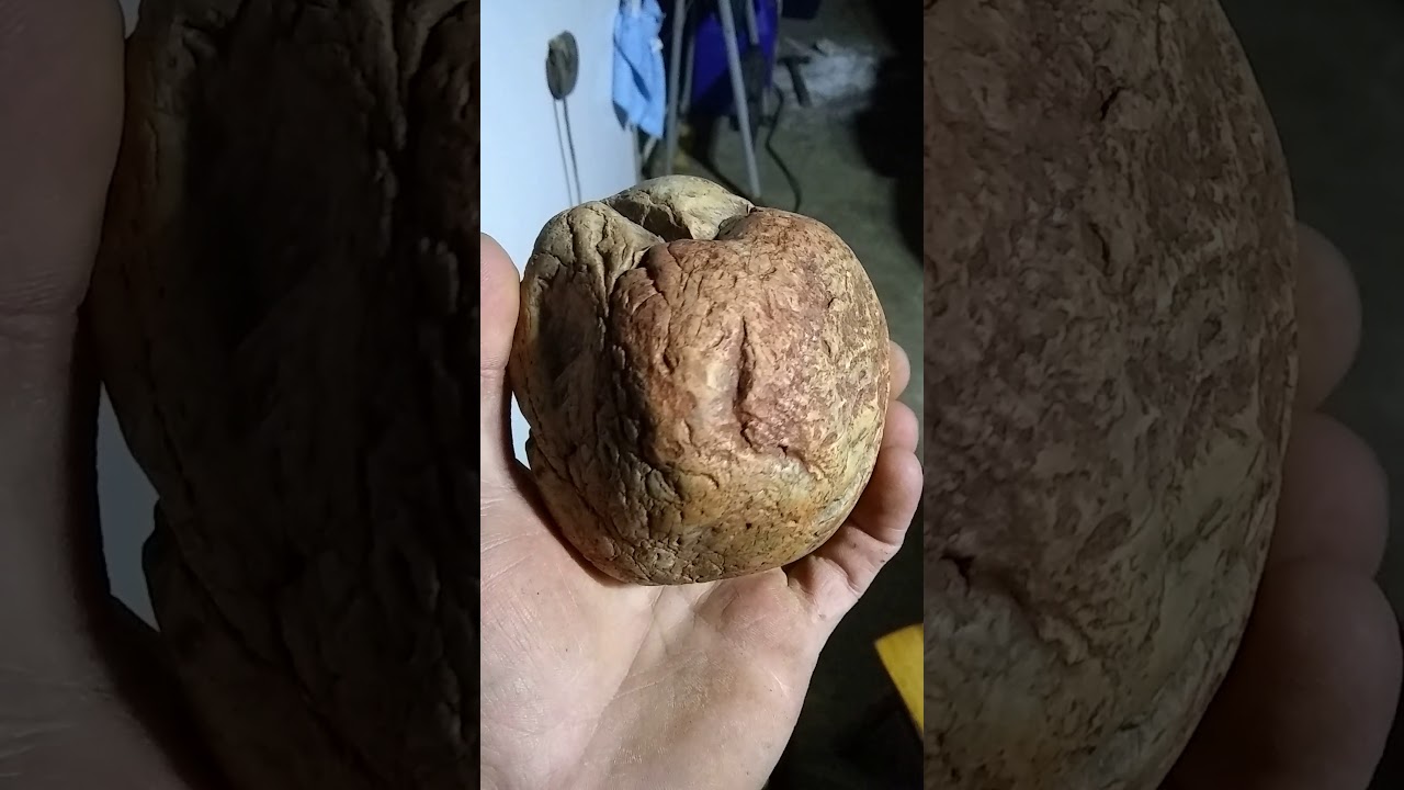 Neolithic Stone carvings from the ancient ones - YouTube