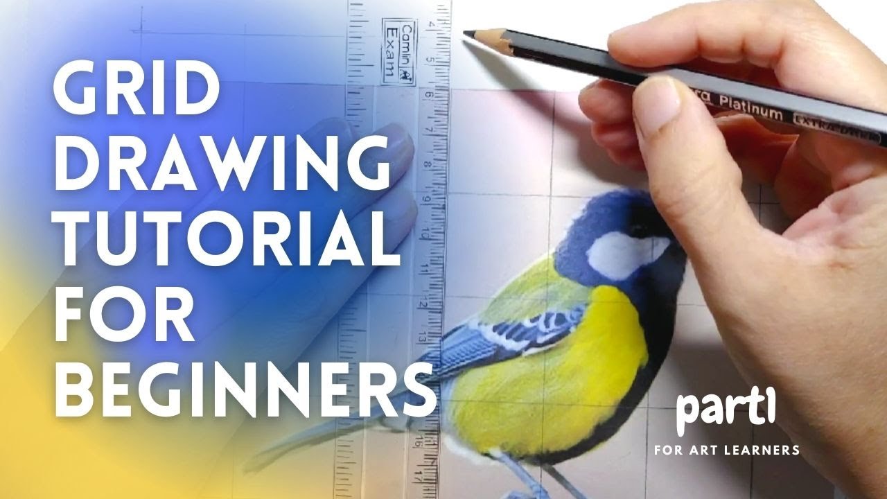 Grid drawing tutorials for beginners | Grid method | Blue tit bird ...