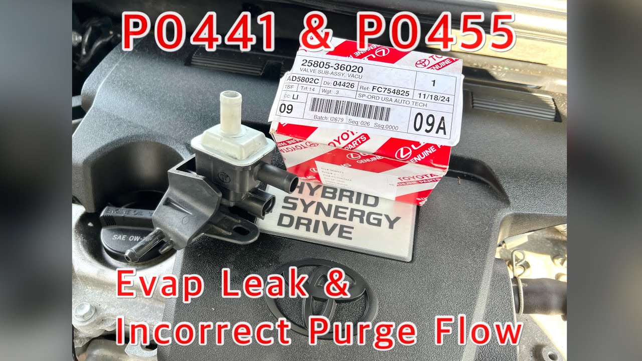Toyota Camry Evap System Incorrect Purge - How To Test Evap System ...