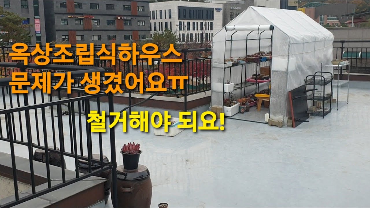 옥상 조립식하우스 문제가 생겼네요ㅠㅠ 옥상조립식하우스 다육이키우기 조립식하우스 핑크엣지 가건물축조신고 항공촬영