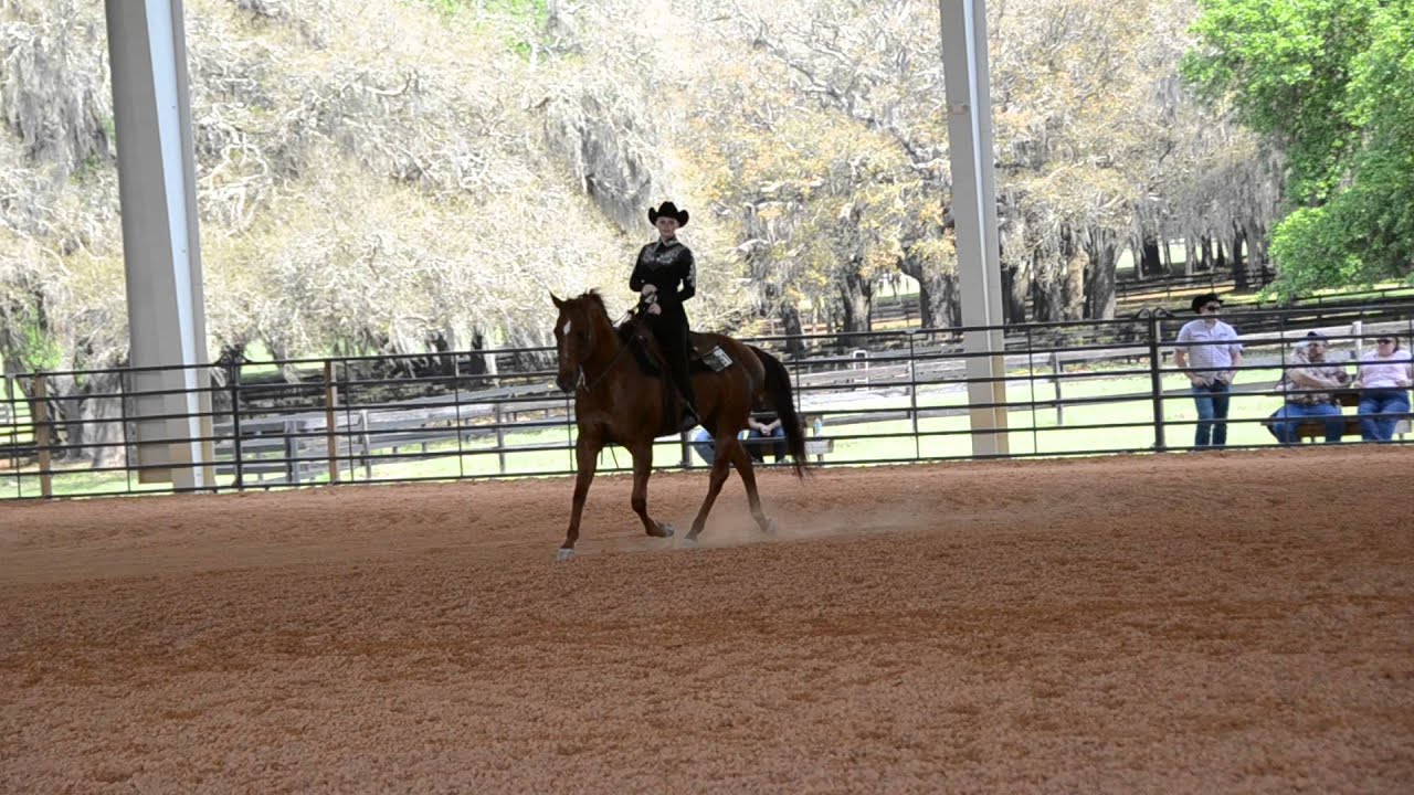 Michaela- Individual Advanced Horsemanship- IHSA Western Semi-Finals ...
