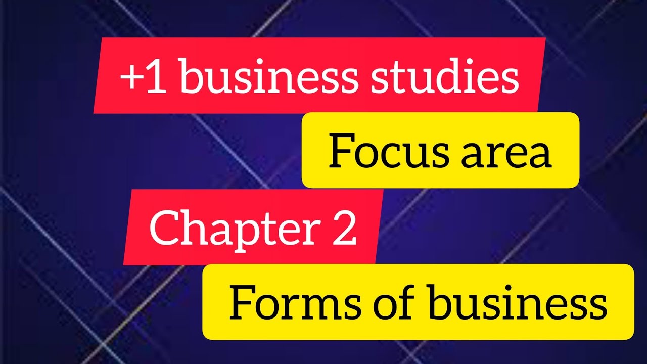 1 Business Studies Focus Area Chapter 2 Forms Of Business 1-business-studies-focus-area-chapter-2-forms-of-business