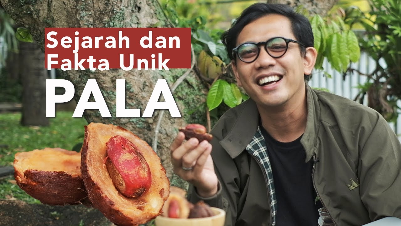 SEJARAH DAN FAKTA UNIK PALA - YouTube
