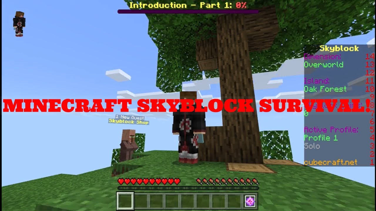 Cubecraft Skyblock Episode 1: Farming Experts! - YouTube