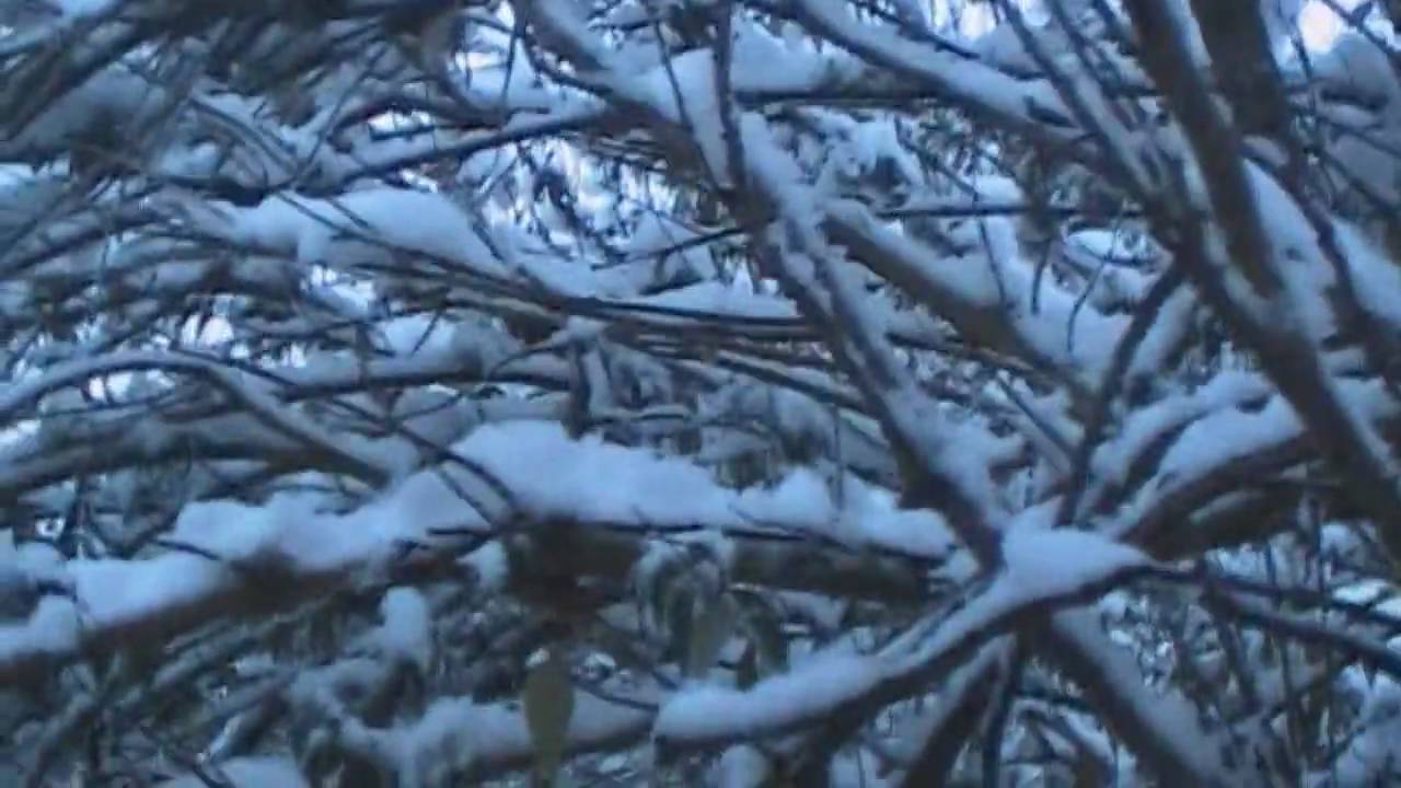 UK Snow December 2009 - YouTube