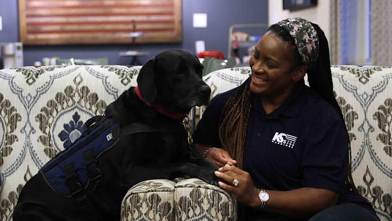 Veteran and Loving Pup are Completely Inseparable | The Dodo - YouTube