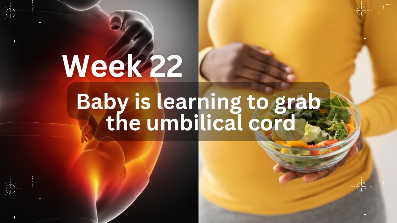 Baby Development At Weeks 22 - YouTube