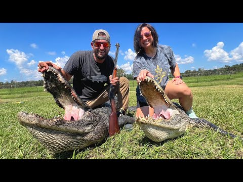 Hunting Down ANGRY Overpopulated Alligators
