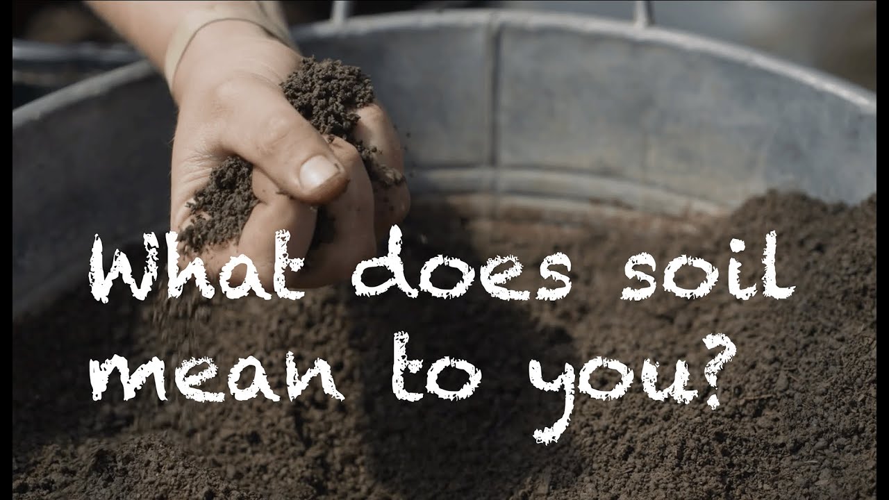 What does soil mean to you? - YouTube