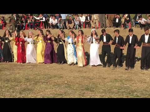 HARİKA ŞİRİNE LEYLO HALAYI ANDAÇ KÖYÜ YÖRESEL KÖY DÜĞÜNLERİ !!!