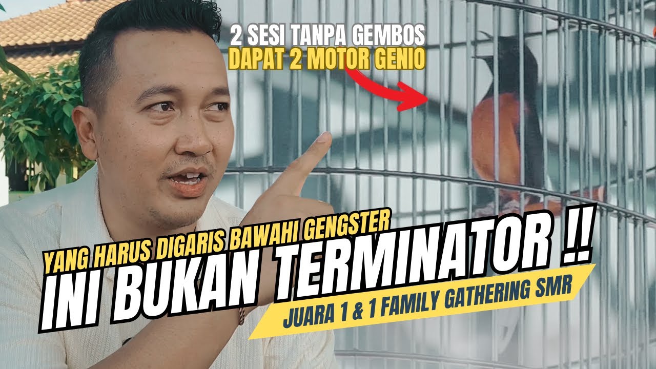 Gengster Bukan TERMINATOR ‼️Juara 1 & 1 Sesi Utama Raih 2 Motor Genio ...